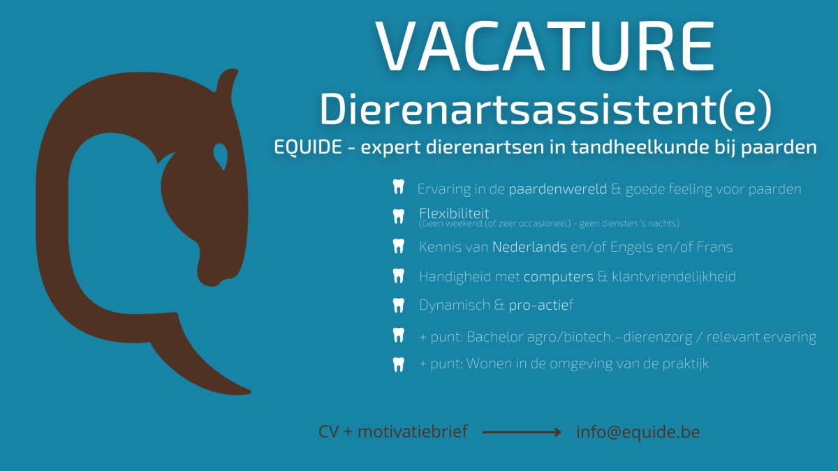 Vacature dierenartsassistent(e) paarden - Dierenartsenwereld